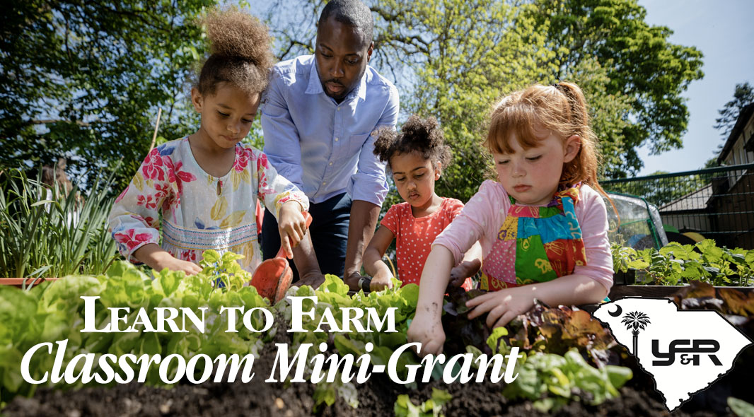 Classroom Mini-Grant Program | South Carolina Farm Bureau